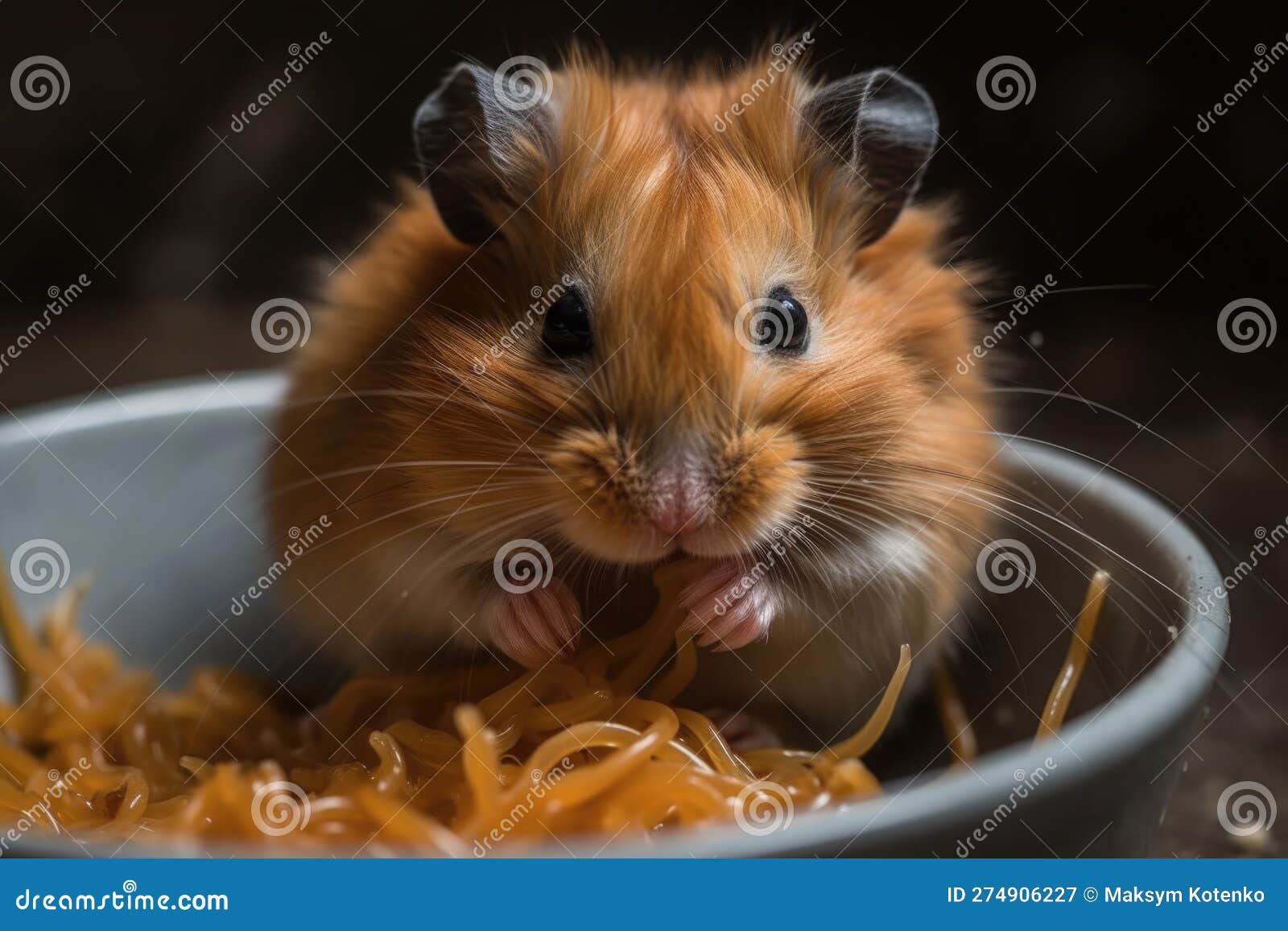 Hamster Eating Spaghetti