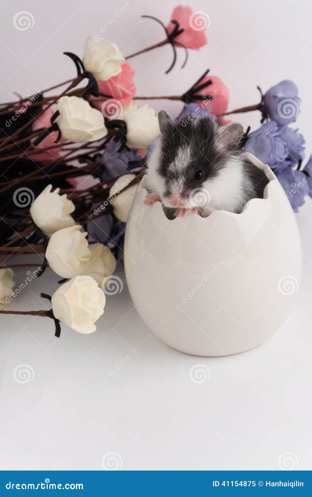Hamster in an egg stock image. Image of safe, afraid - 41154875