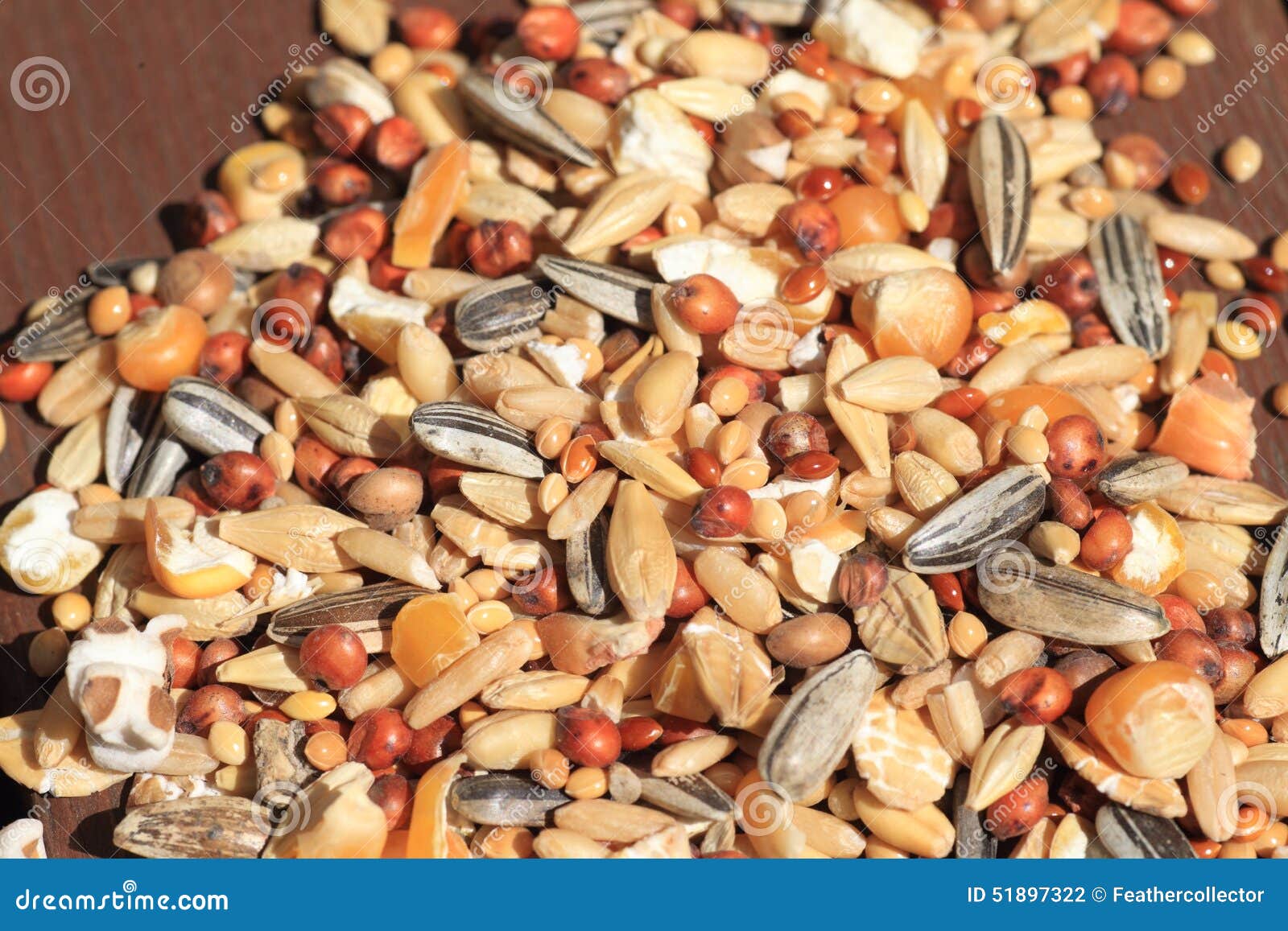 Hamster s food stock photo. Image of grain, herbs, feed - 51897322