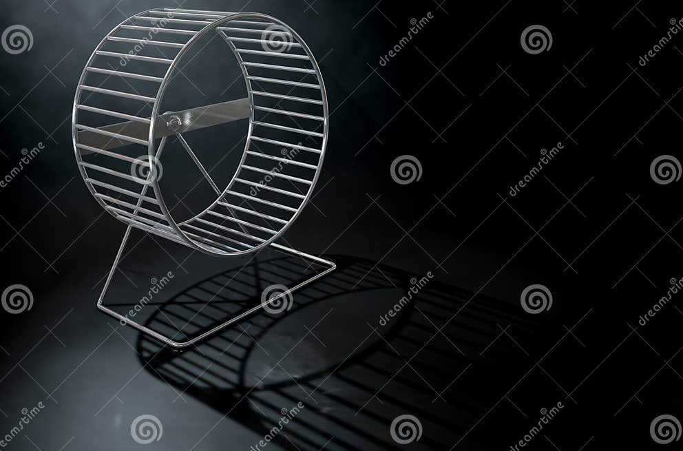 Hamster Wheel Empty stock image. Image of shot, routine - 74339317