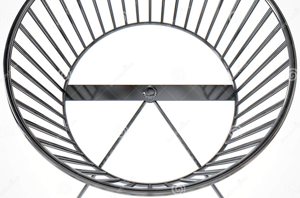 Hamster Wheel Empty stock photo. Image of hamster, studio - 74339746