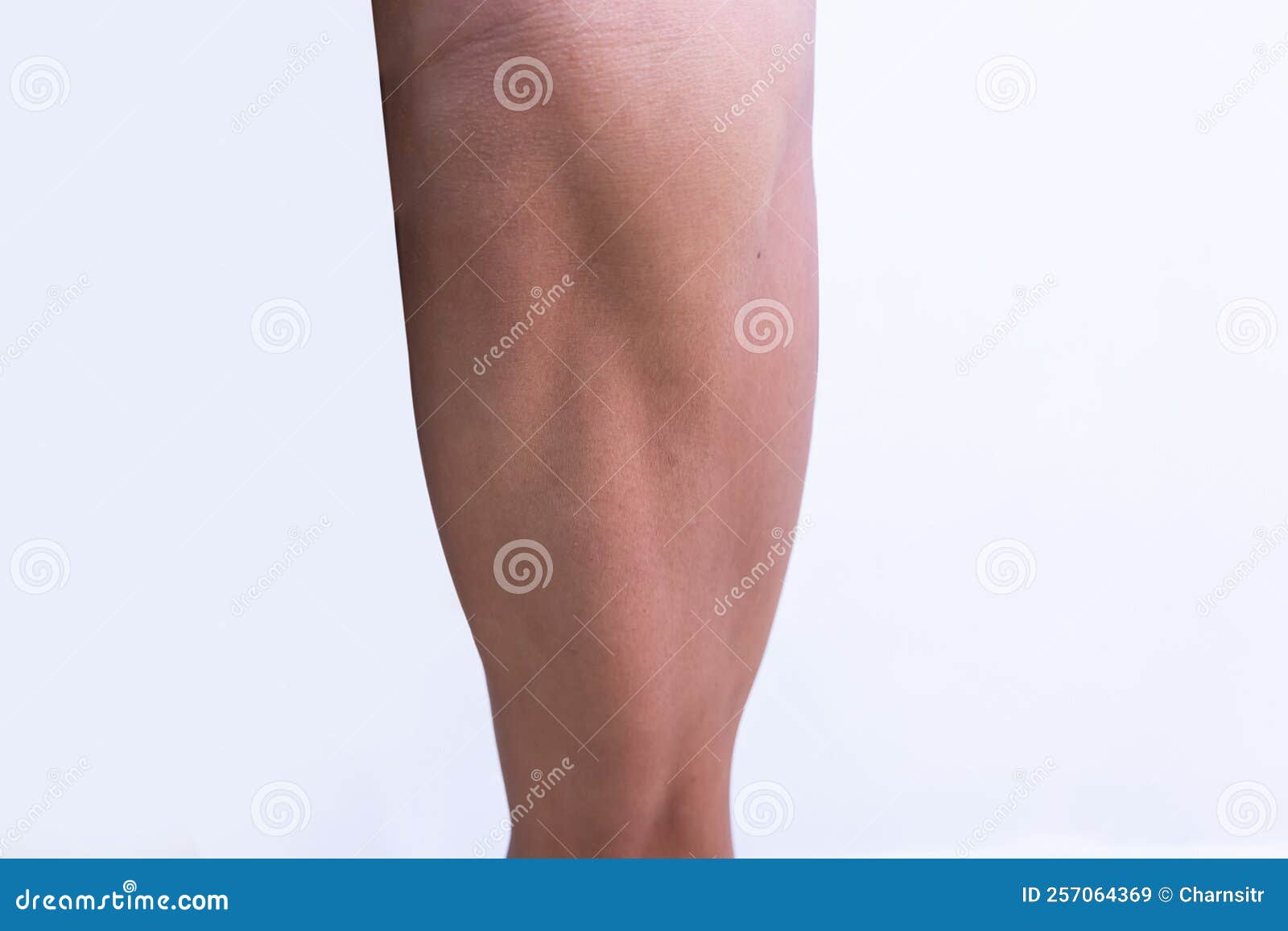 Hamstring Muscle on Blank Copy Space Stock Image - Image of skin ...