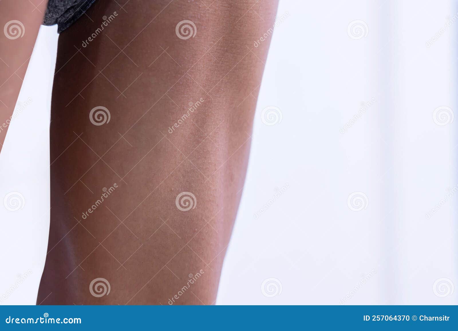 Hamstring Muscle on Blank Copy Space Stock Photo - Image of physical ...