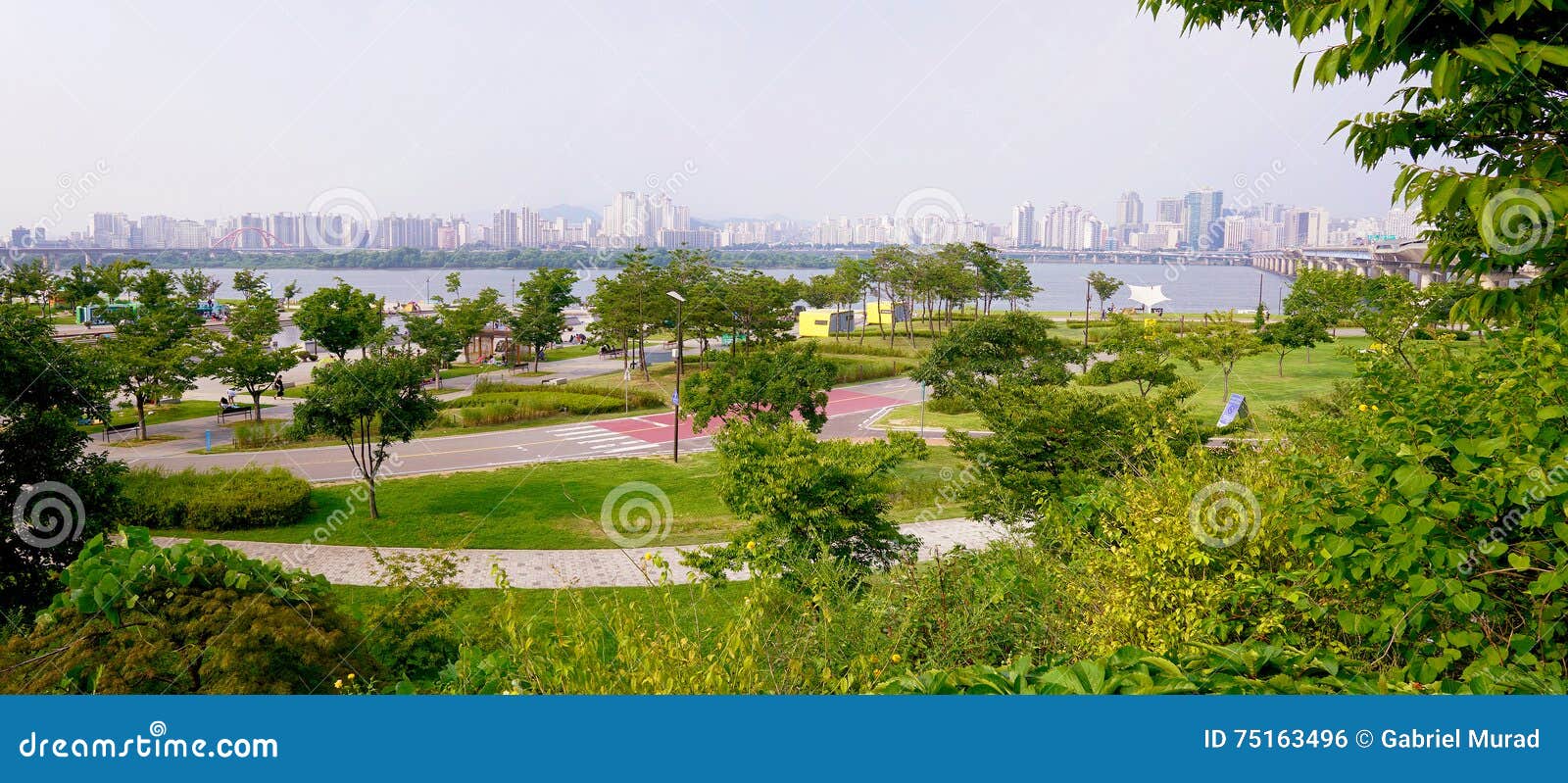 Han river park stock photo. Image of cityscape, trees - 75163496