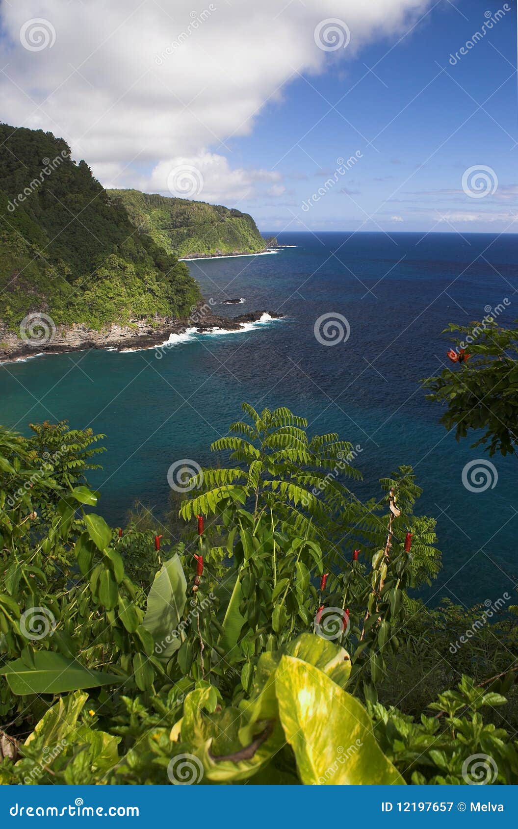 Hana Coast-Maui HI stock image. Image of plants, travel - 12197657