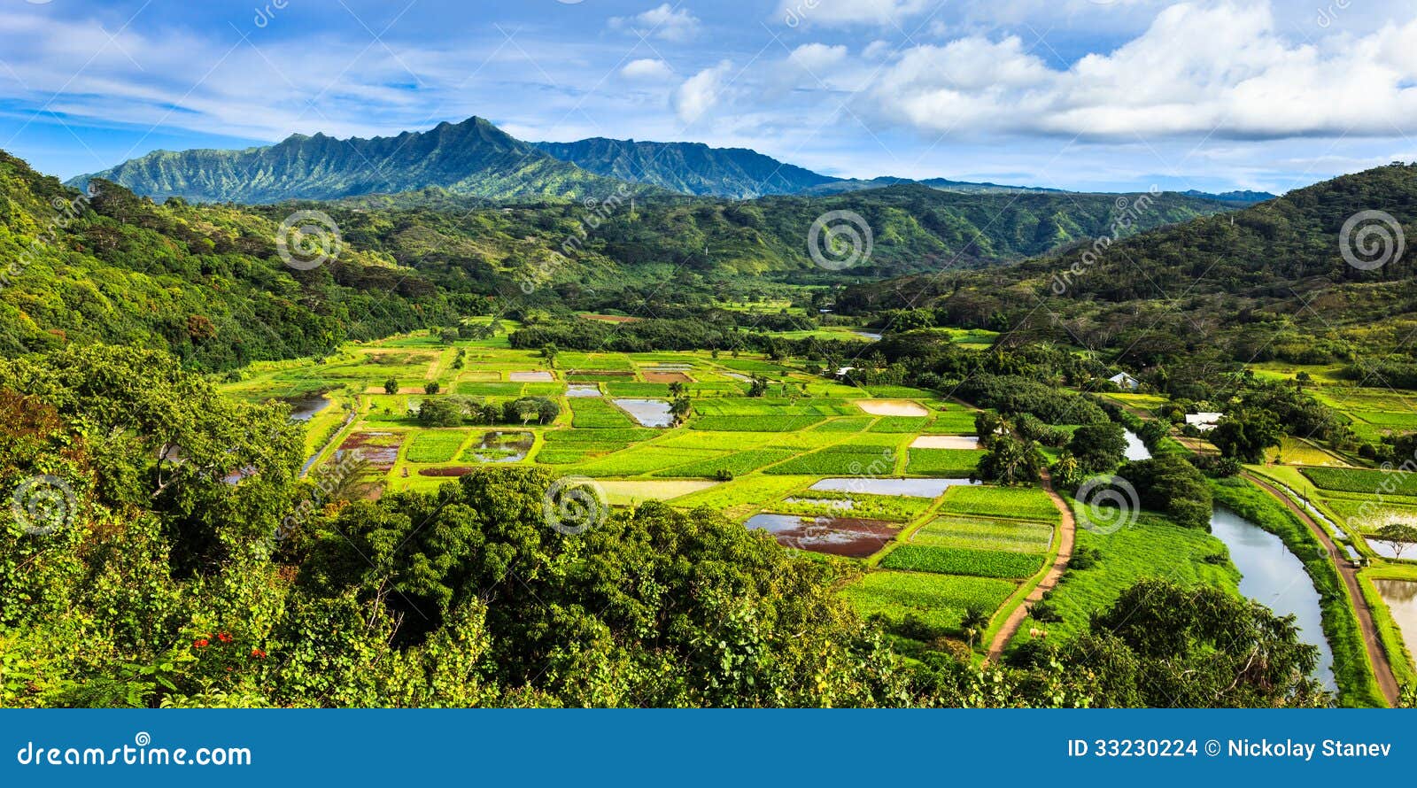 Hanalei Valley Panorama stock photo. Image of mountain - 33230224