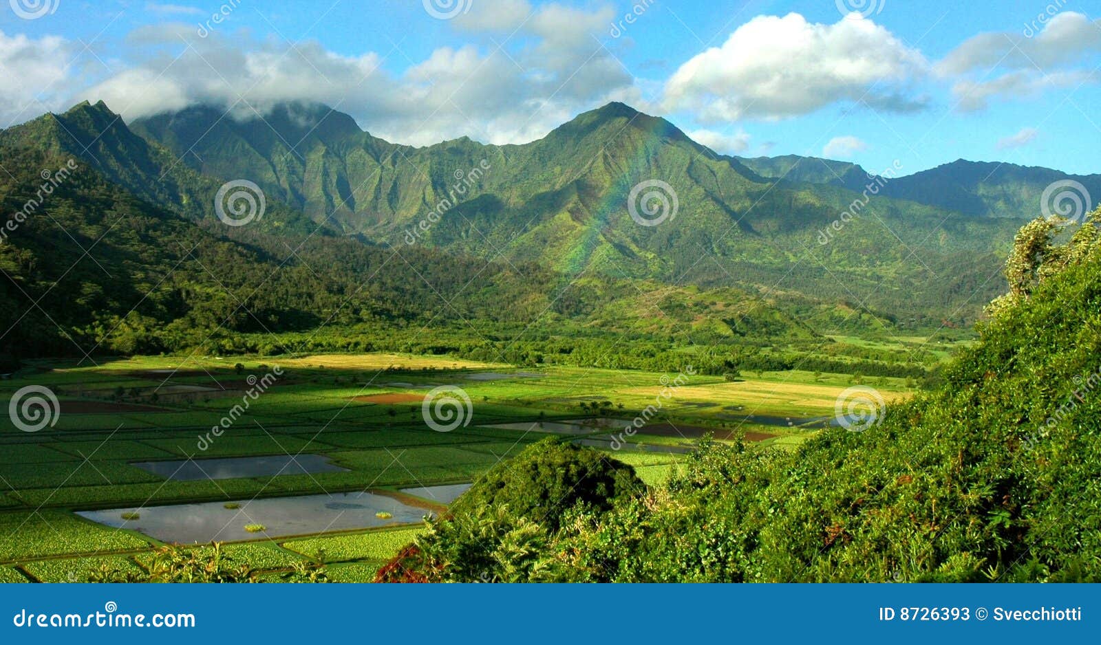 Hanalei Valley Rainbow, Kauai Stock Image - Image of landscape, valley ...