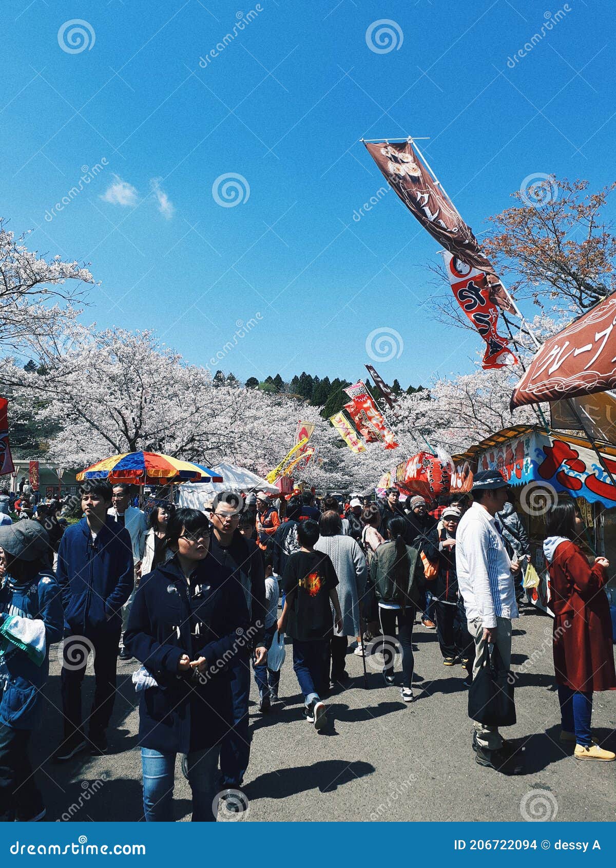 Hanami Japan Cherry Blossom Editorial Stock Image - Image of vehicle ...