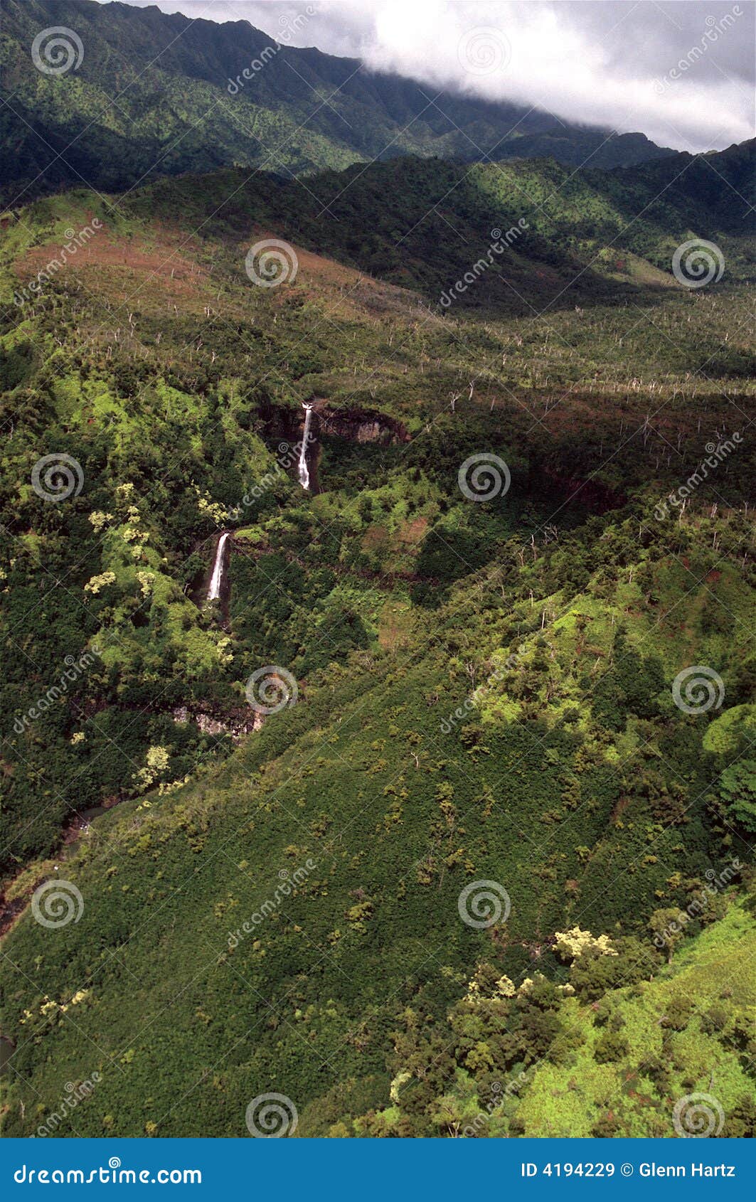 Hanapepe Valley in Hawaii stock image. Image of beautiful - 4194229