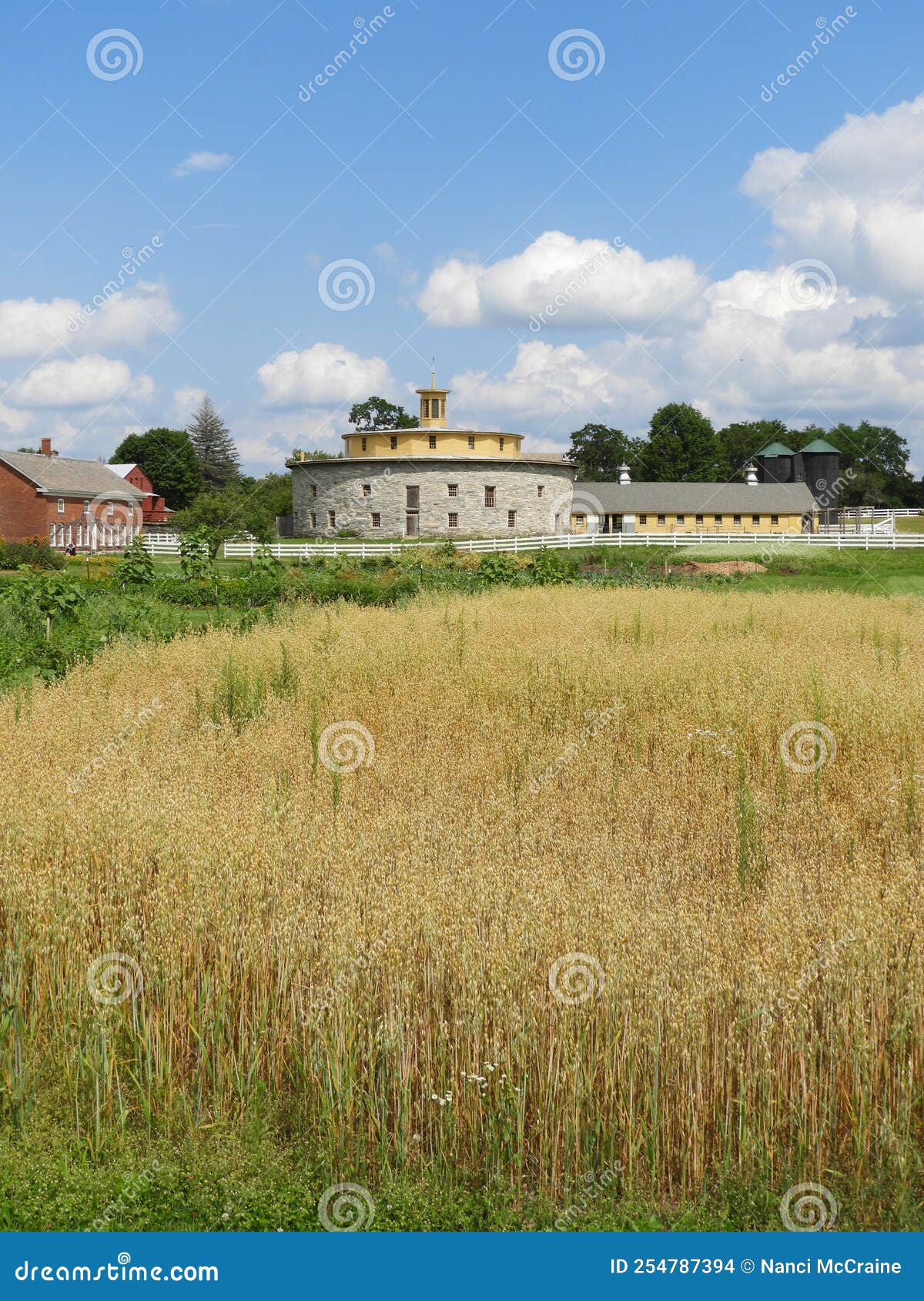 Summer Splendor at Hancock Shaker Round Barn and Grain Field Stock ...