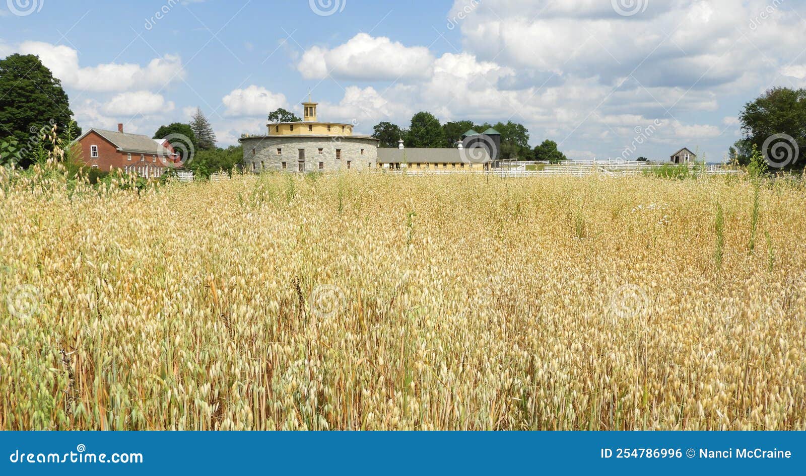 View of Shaker Round Barn and Oat Grain Field Banner Image Stock Photo ...