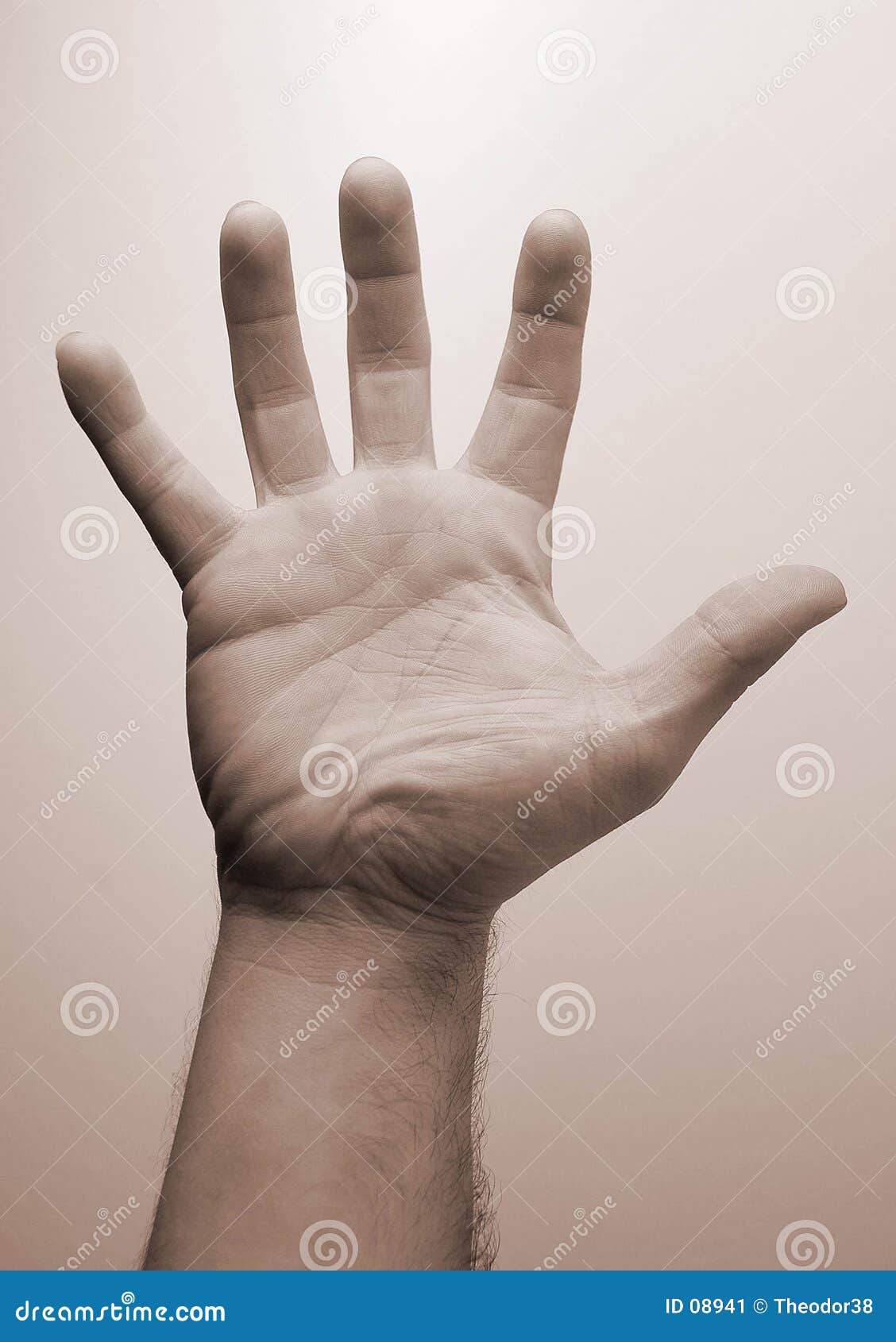 A hand stock image. Image of friendly, human, fingers, hand - 8941