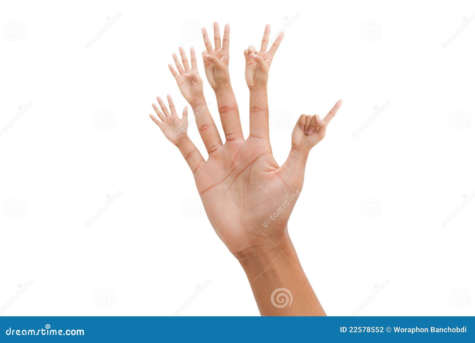 Hand with 1-5 Number Finger Stock Photo - Image of point, object: 22578552