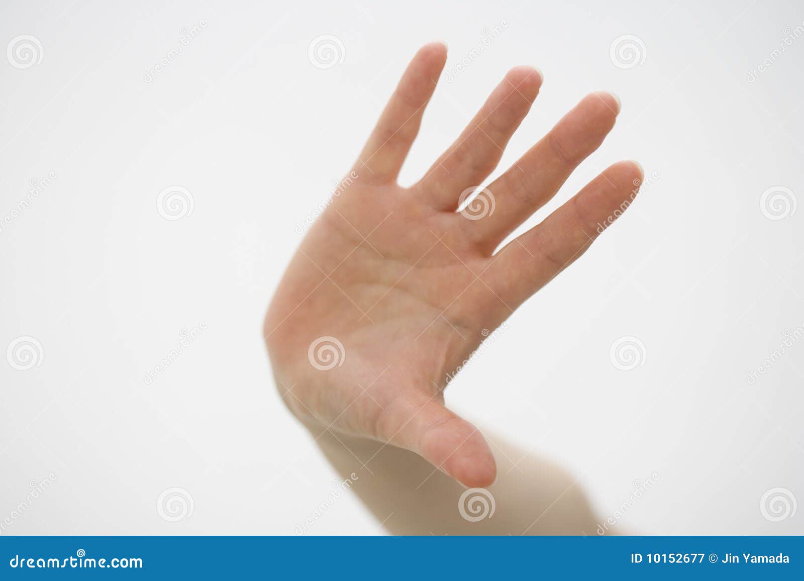 Hand stock image. Image of beauty, model, hand, asia - 10152677