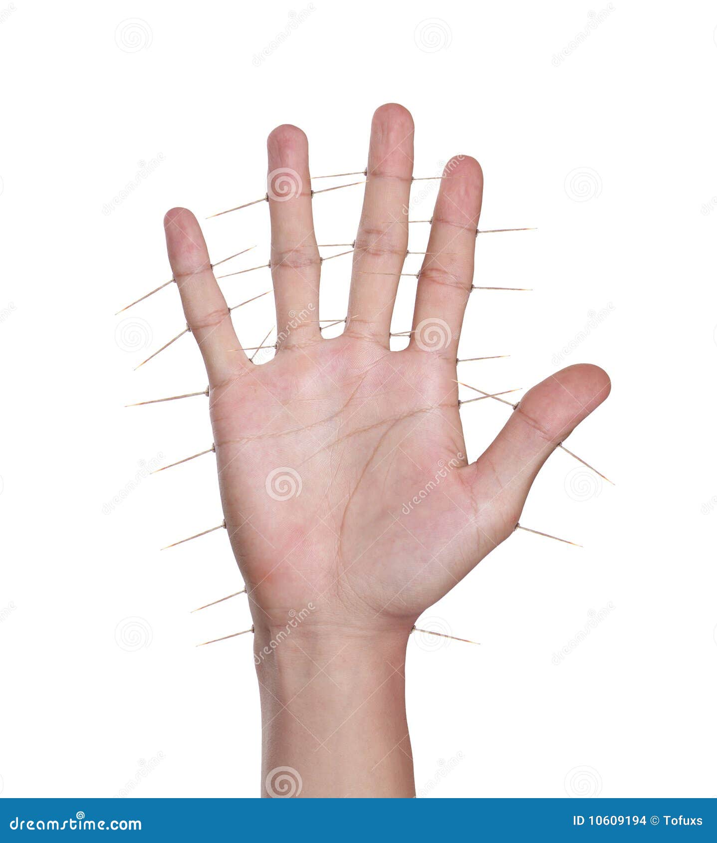 Hand stock photo. Image of human, gesture, hand, object - 10609194