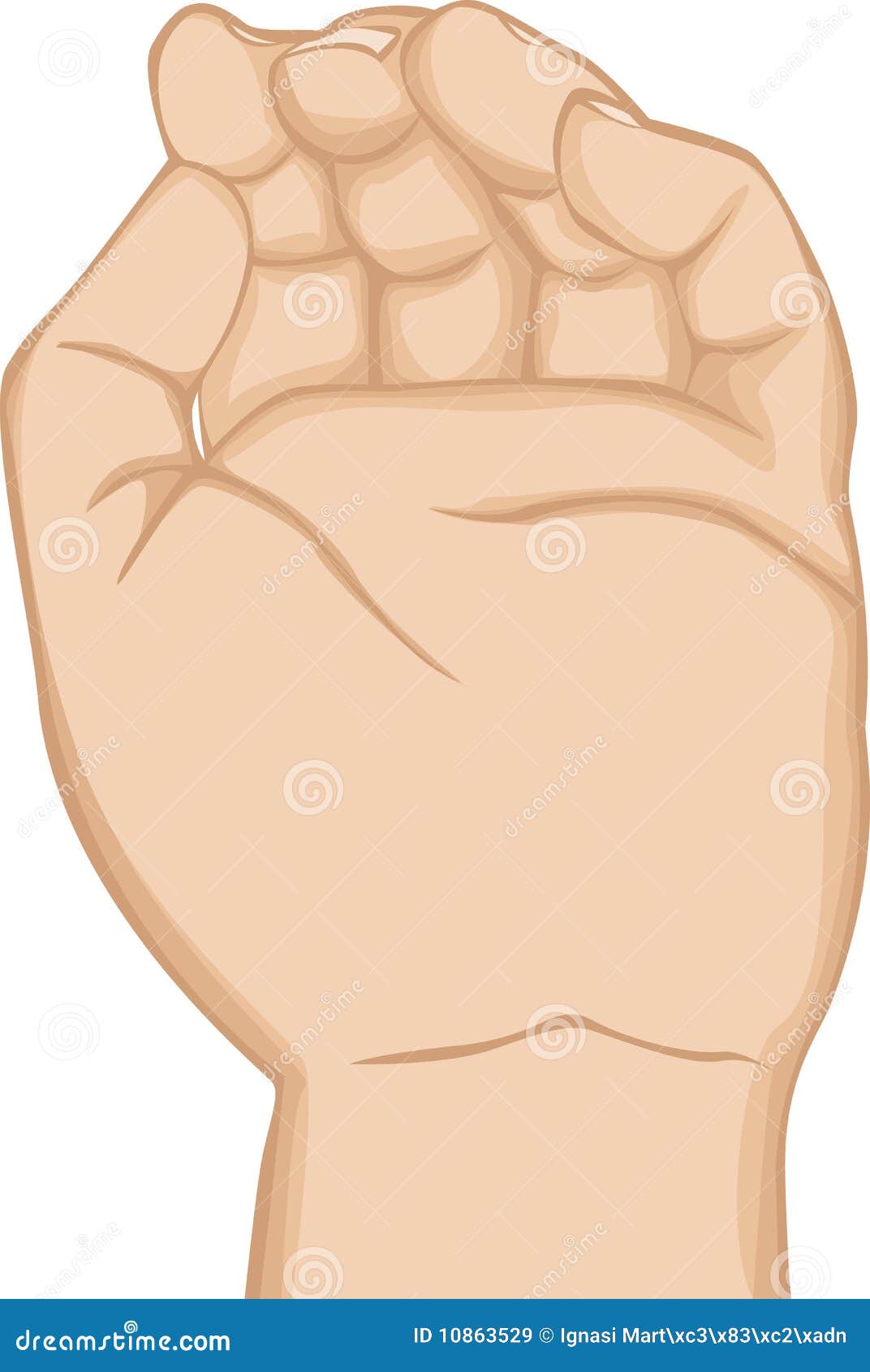 Hand stock vector. Illustration of hold, human, catching - 10863529