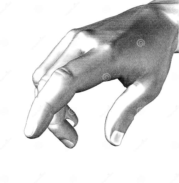 Hand stock illustration. Illustration of human, show, pointer - 1162736