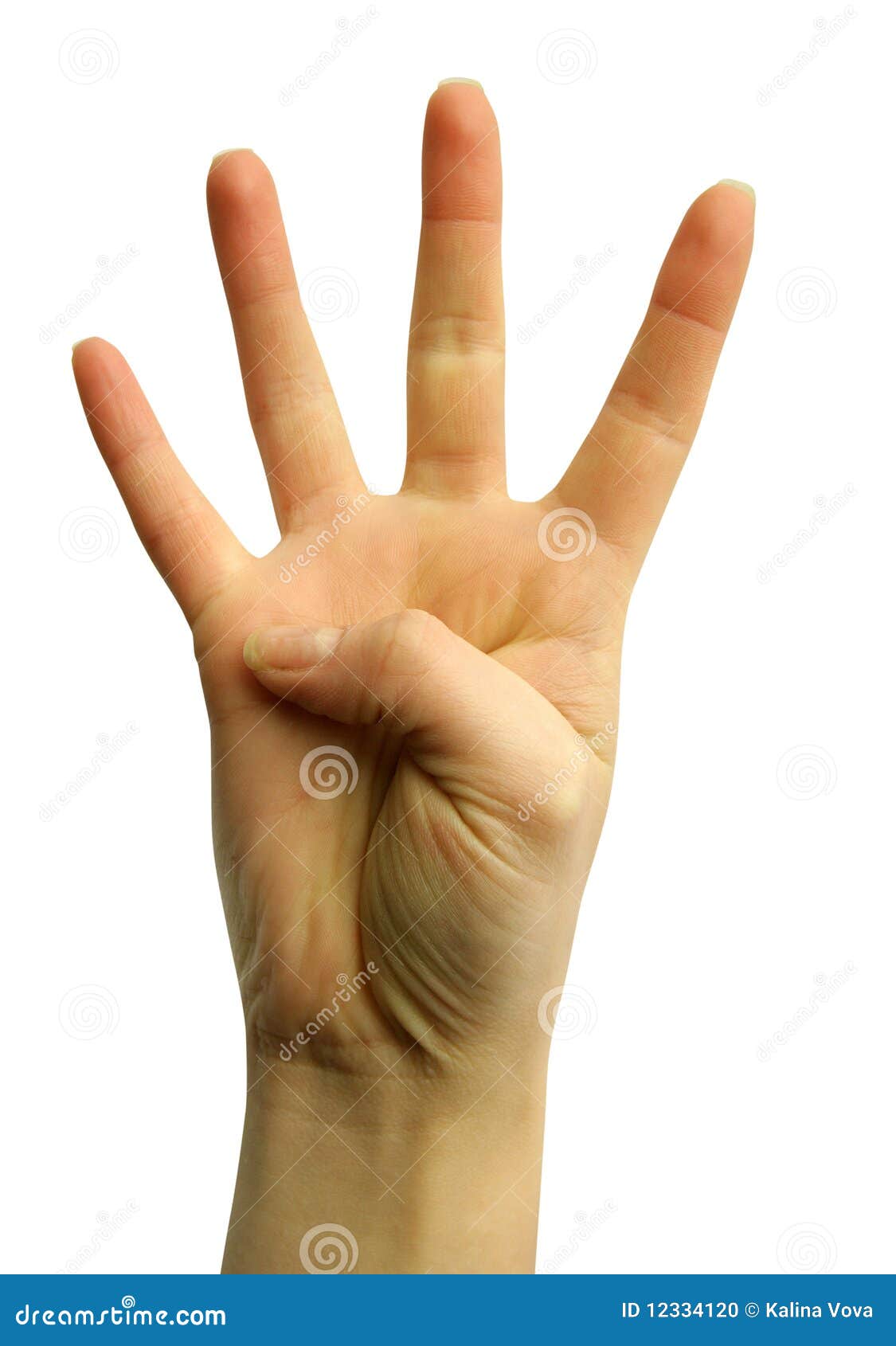 Hand stock photo. Image of human, hand, number, symbol - 12334120