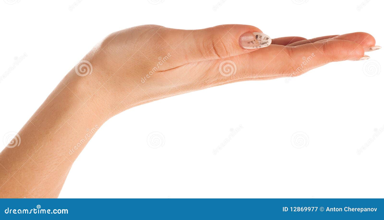 Hand stock image. Image of hands, hand, shot, success - 12869977