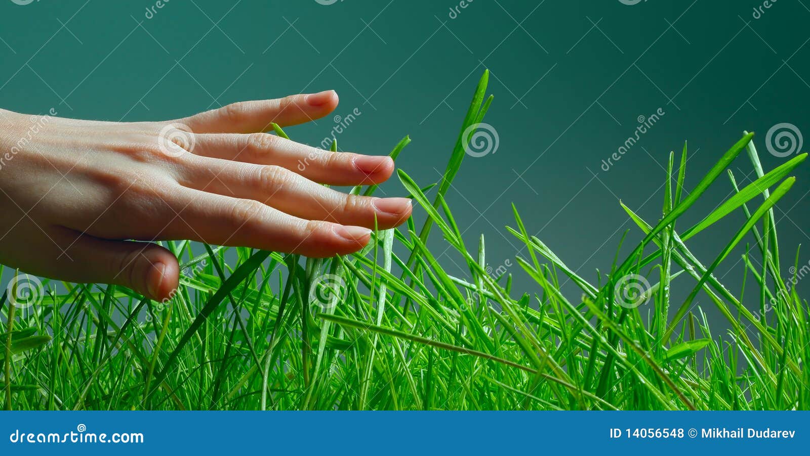Hand stock photo. Image of land, grass, gardening, gray - 14056548