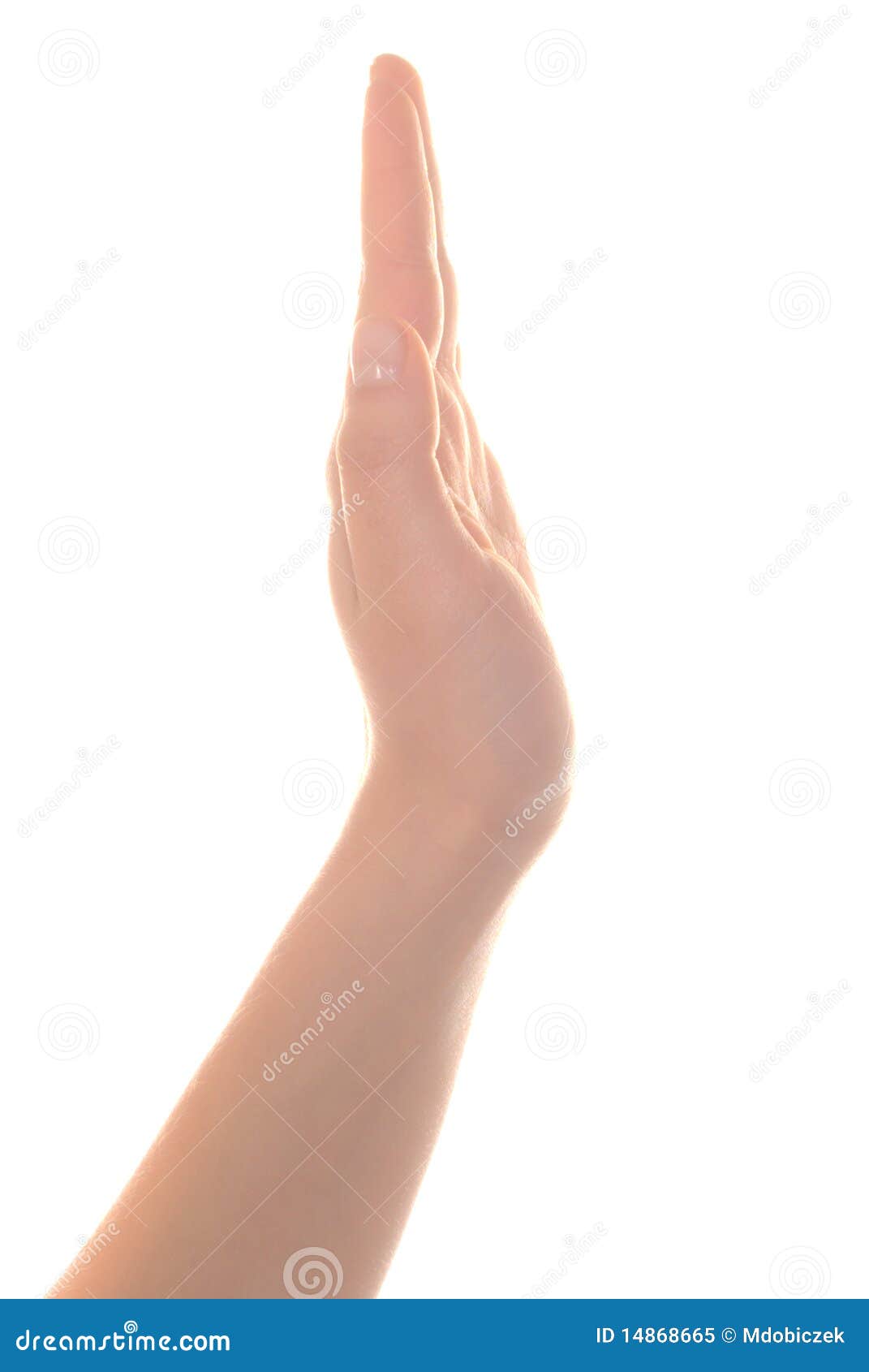 Hand stock image. Image of sideways, woman, human, isolated - 14868665