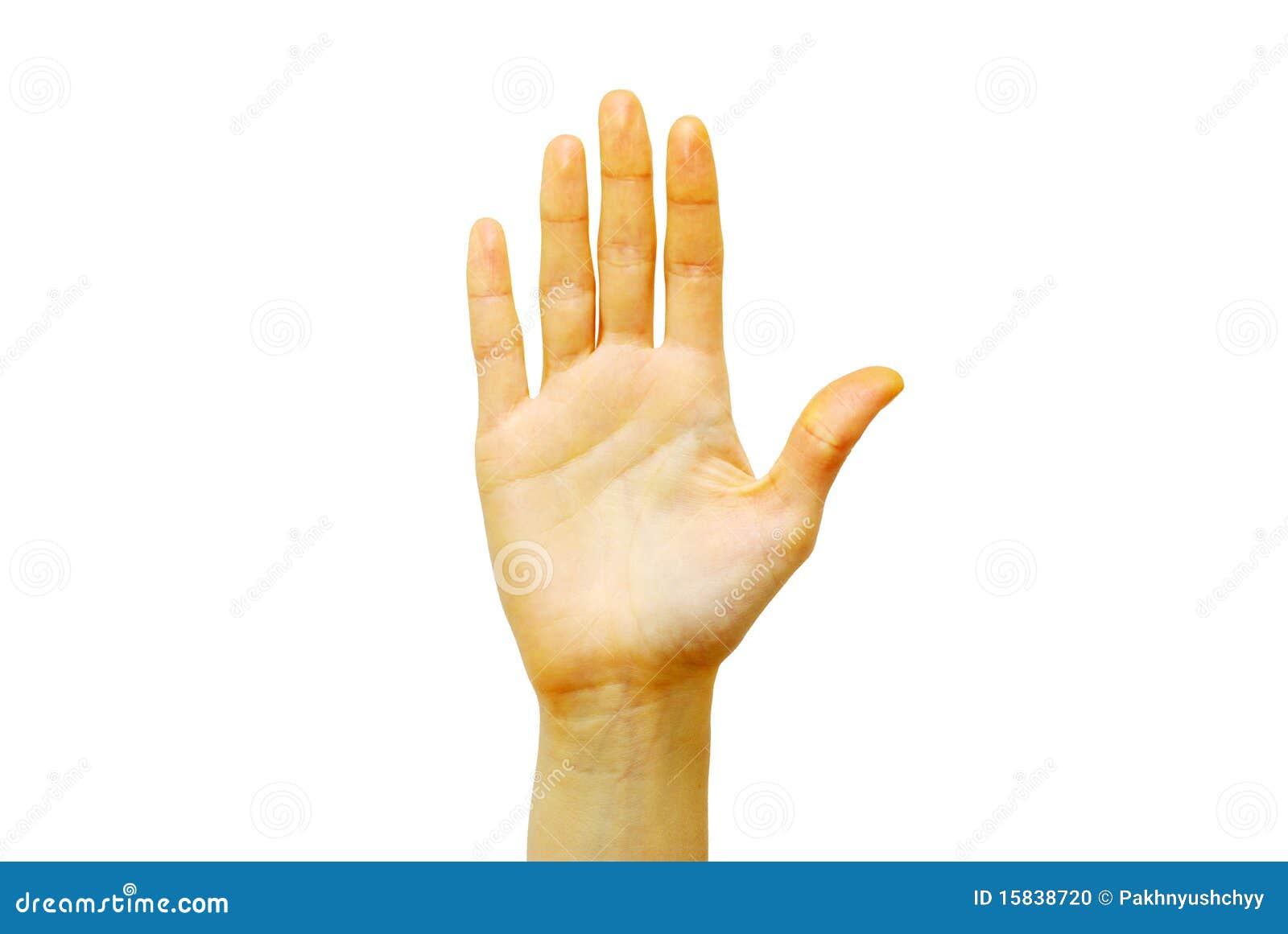 Hand stock foto. Image of communiceer, succes, wapen - 15838720