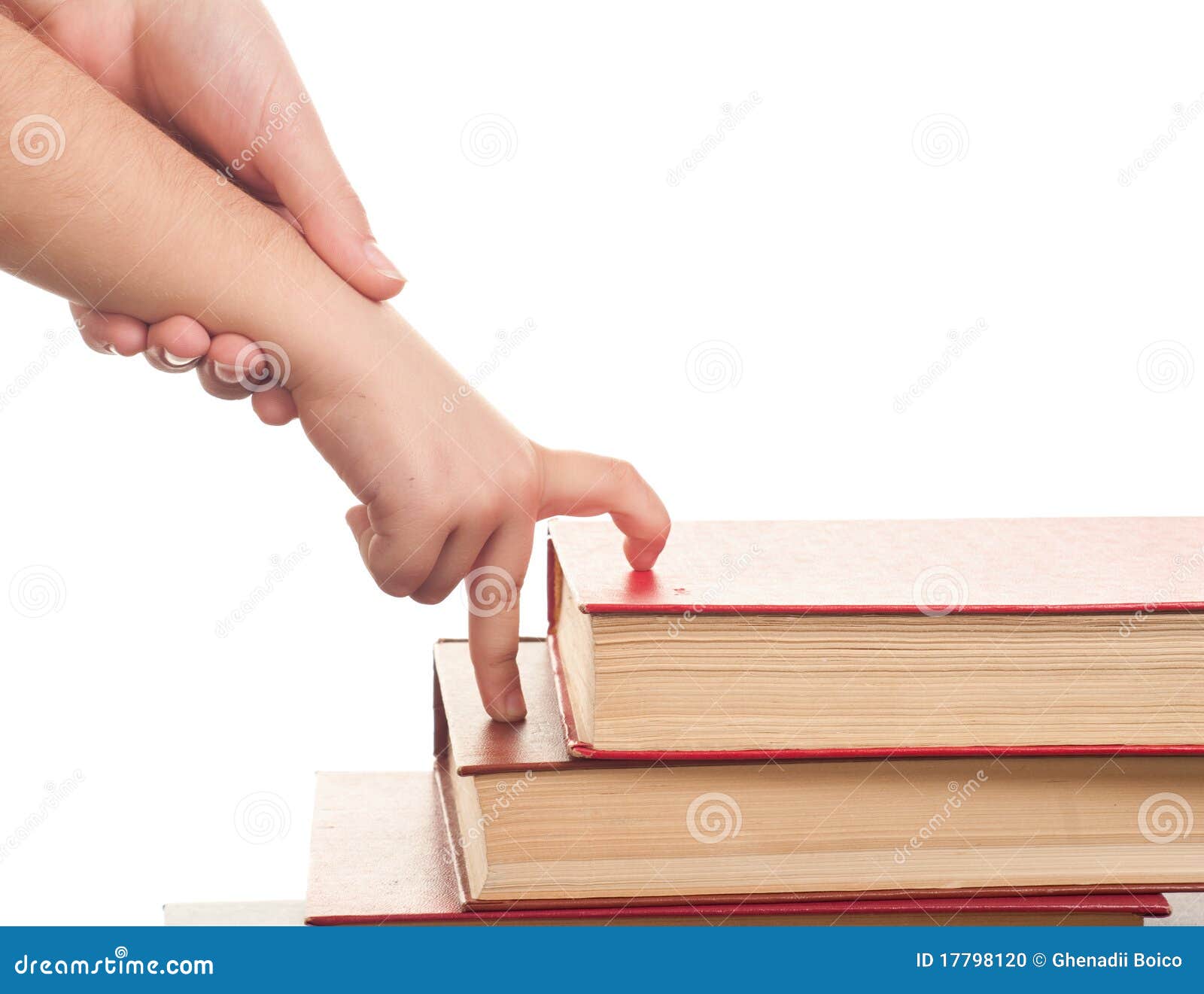 Hand stock photo. Image of growth, library, education - 17798120