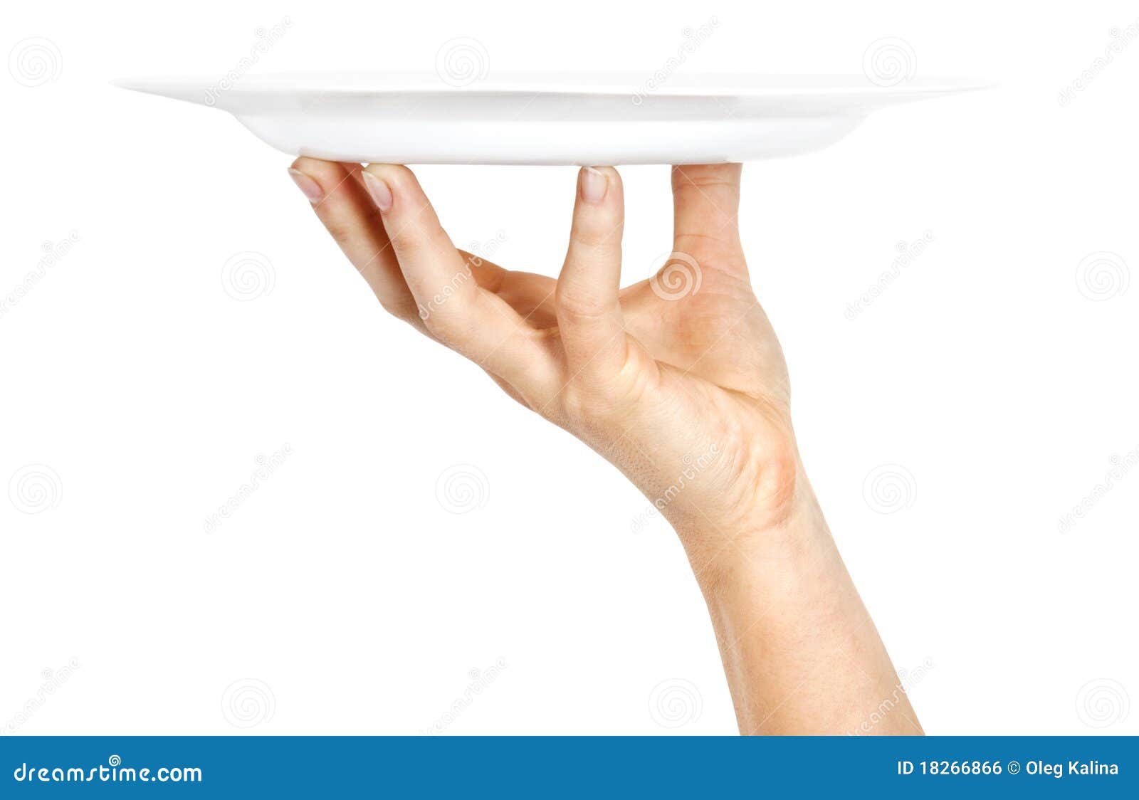 White Kitchen Design. Stock Photography | CartoonDealer.com #45908510