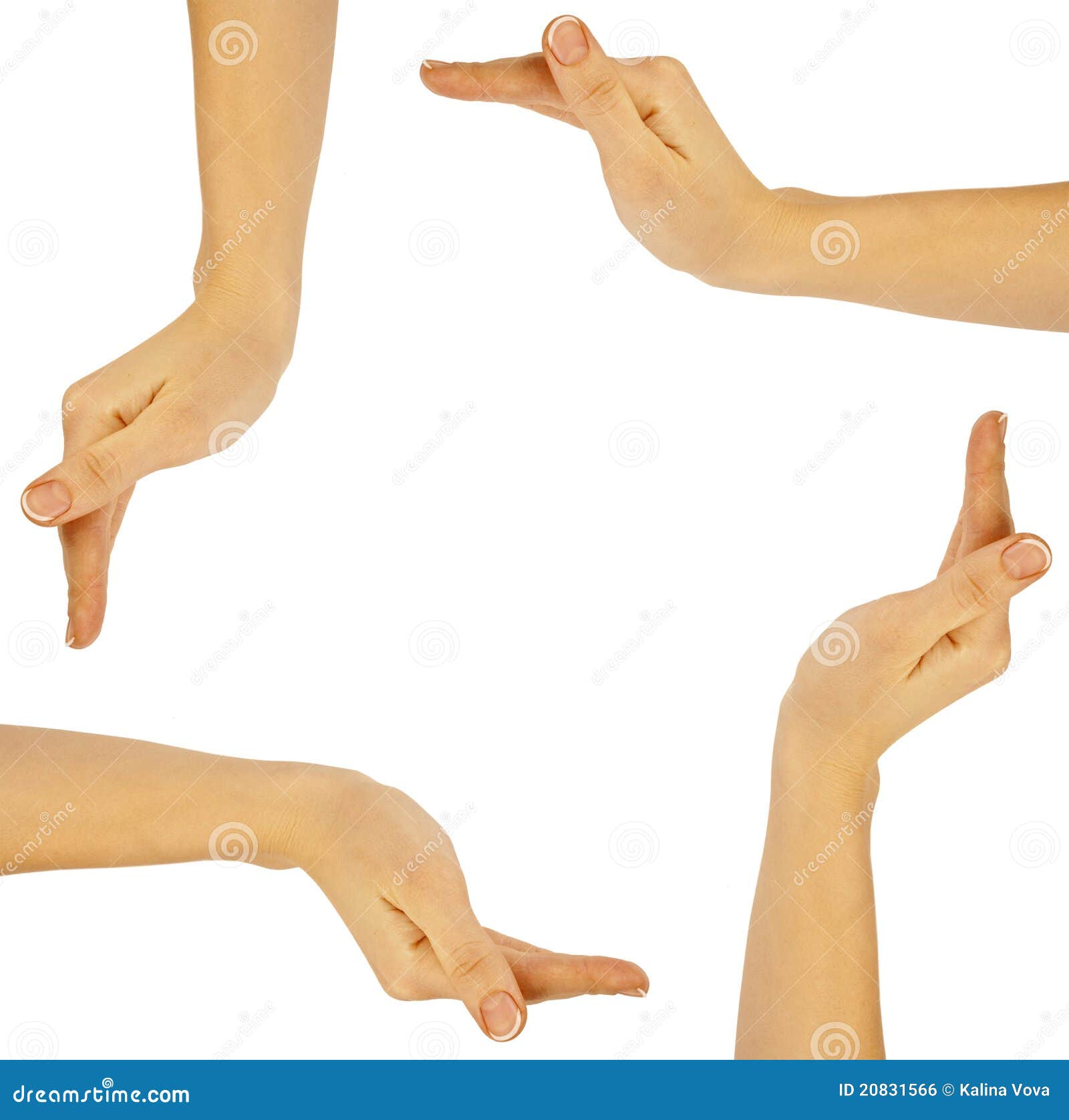 Hand stock photo. Image of health, round, cupped, care - 20831566