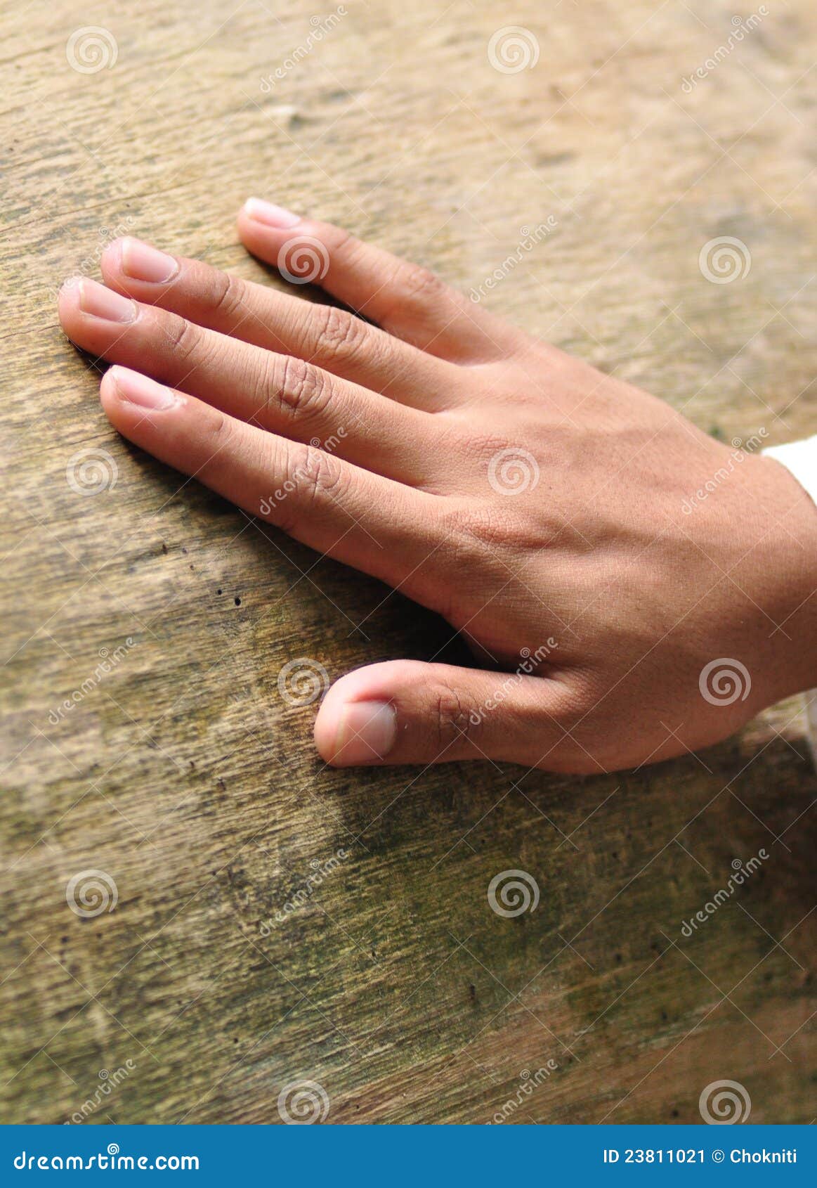 A hand stock image. Image of bonding, green, determination - 23811021