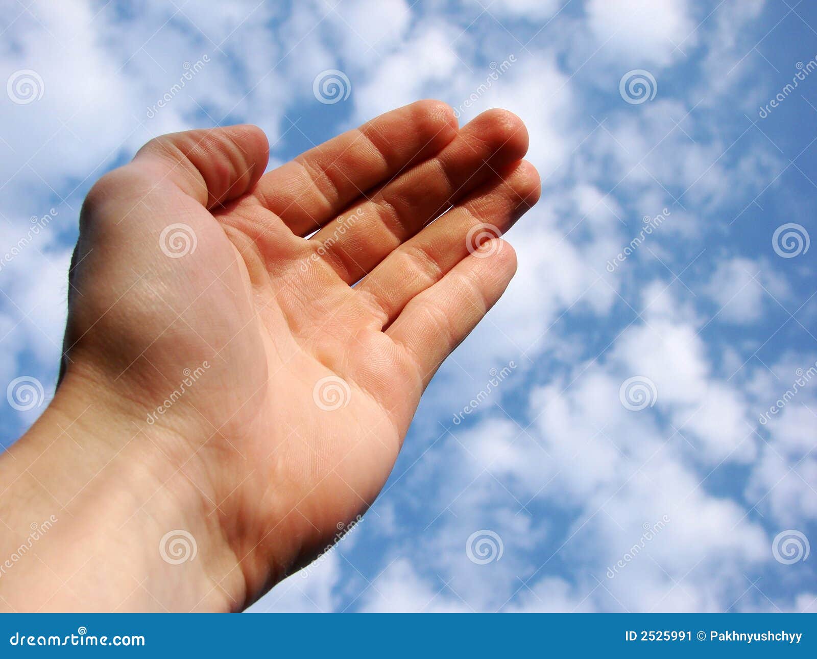 Hand Bild. Bild: 2525991