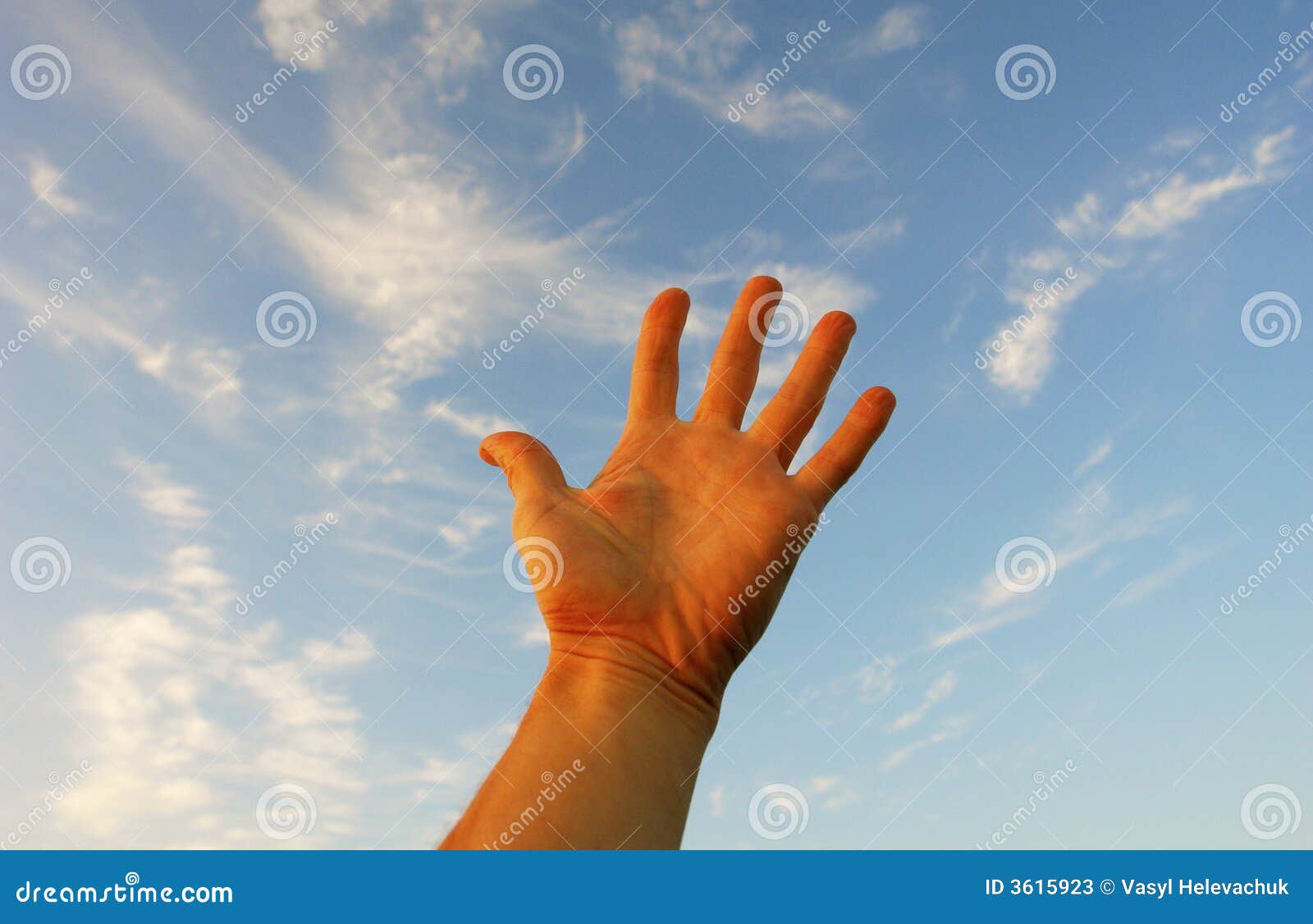 Hand Picture. Image: 3615923