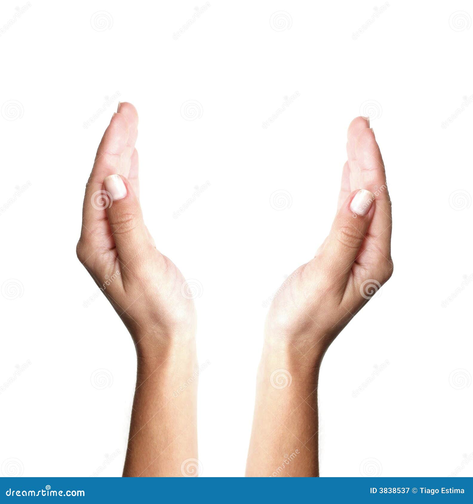 Hand stock image. Image of protecting, protection, female - 3838537