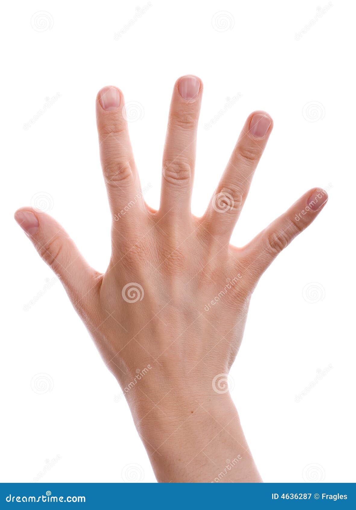 173 Spreaded Hand Stock Photos - Free & Royalty-Free Stock Photos from ...