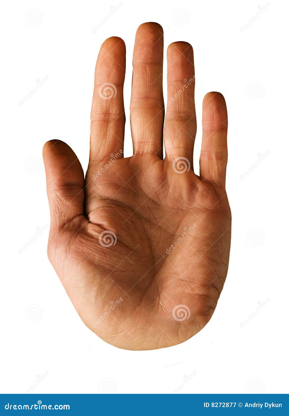 Hand stock image. Image of financial, circuit, blur, idea - 8272877