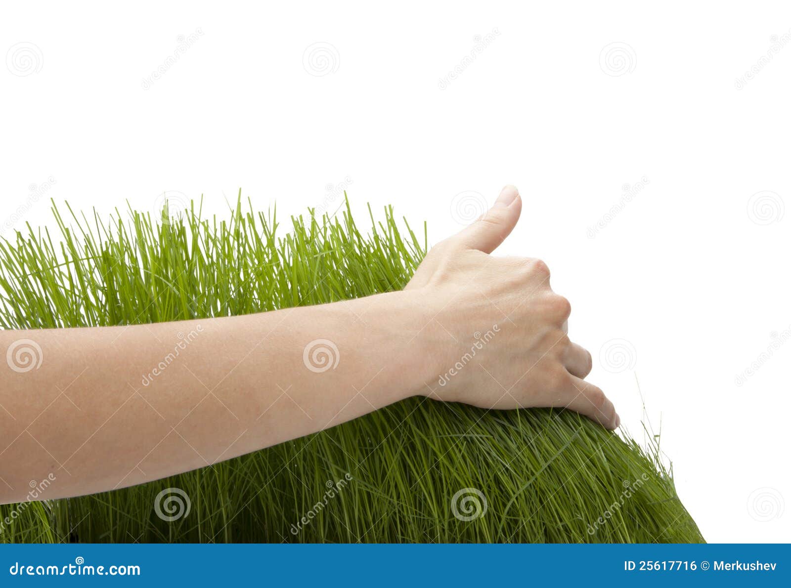 Hand above green grass stock photo. Image of lawn, fingers - 25617716