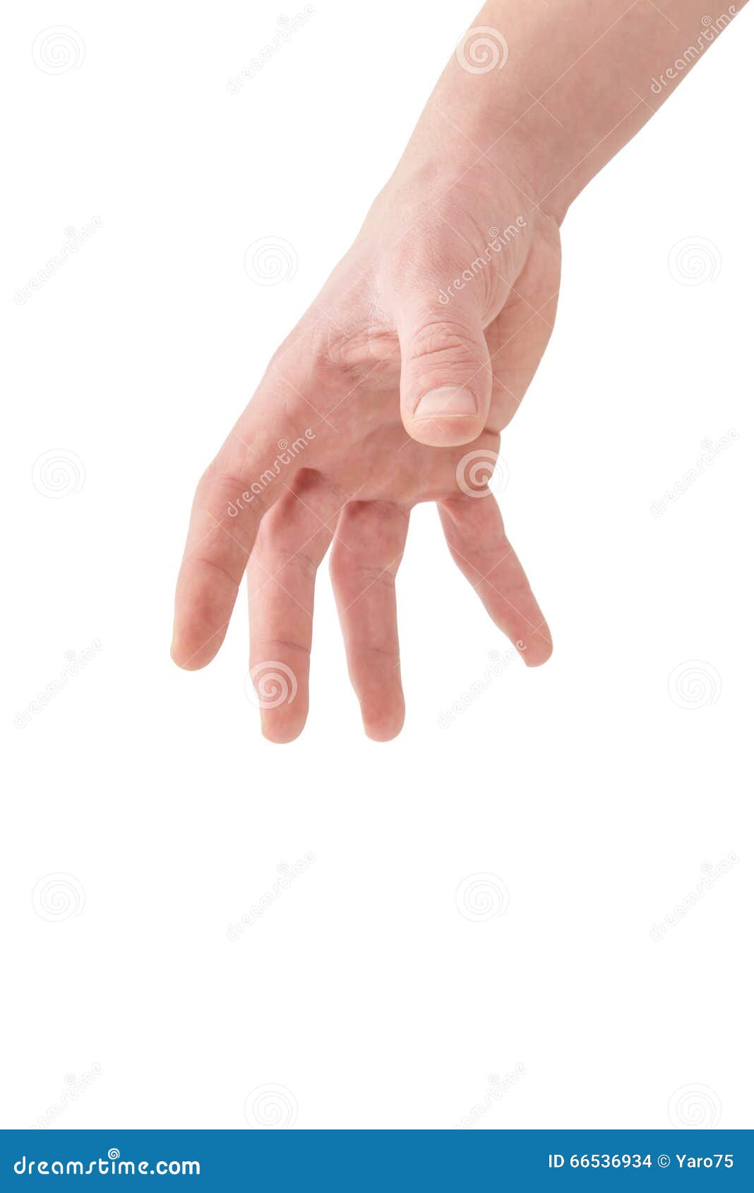 Hand from above stock photo. Image of catch, angle, inside - 66536934
