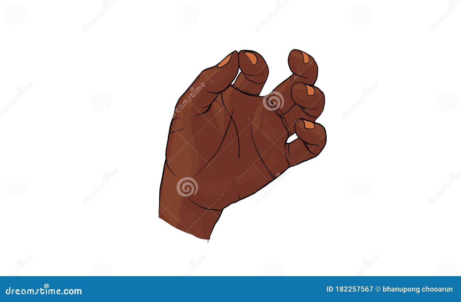 Hand Action Drawing, Hand Signals Vector | CartoonDealer.com #182257560