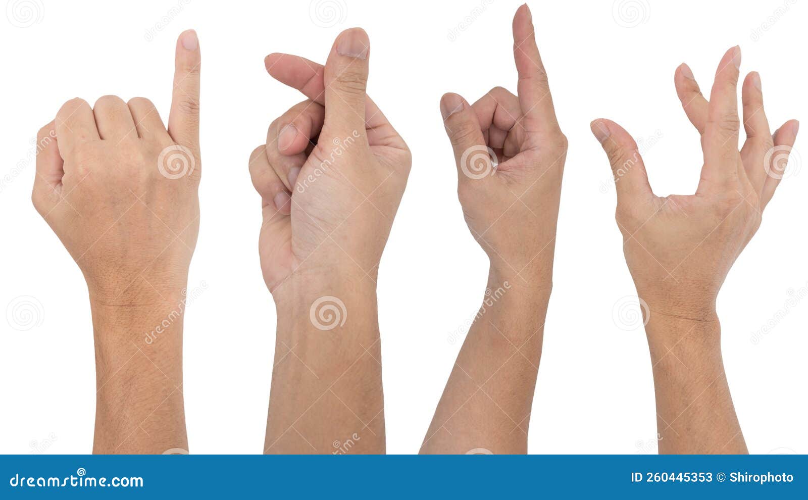 Hand in action isolate stock image. Image of signs, concept - 260445353