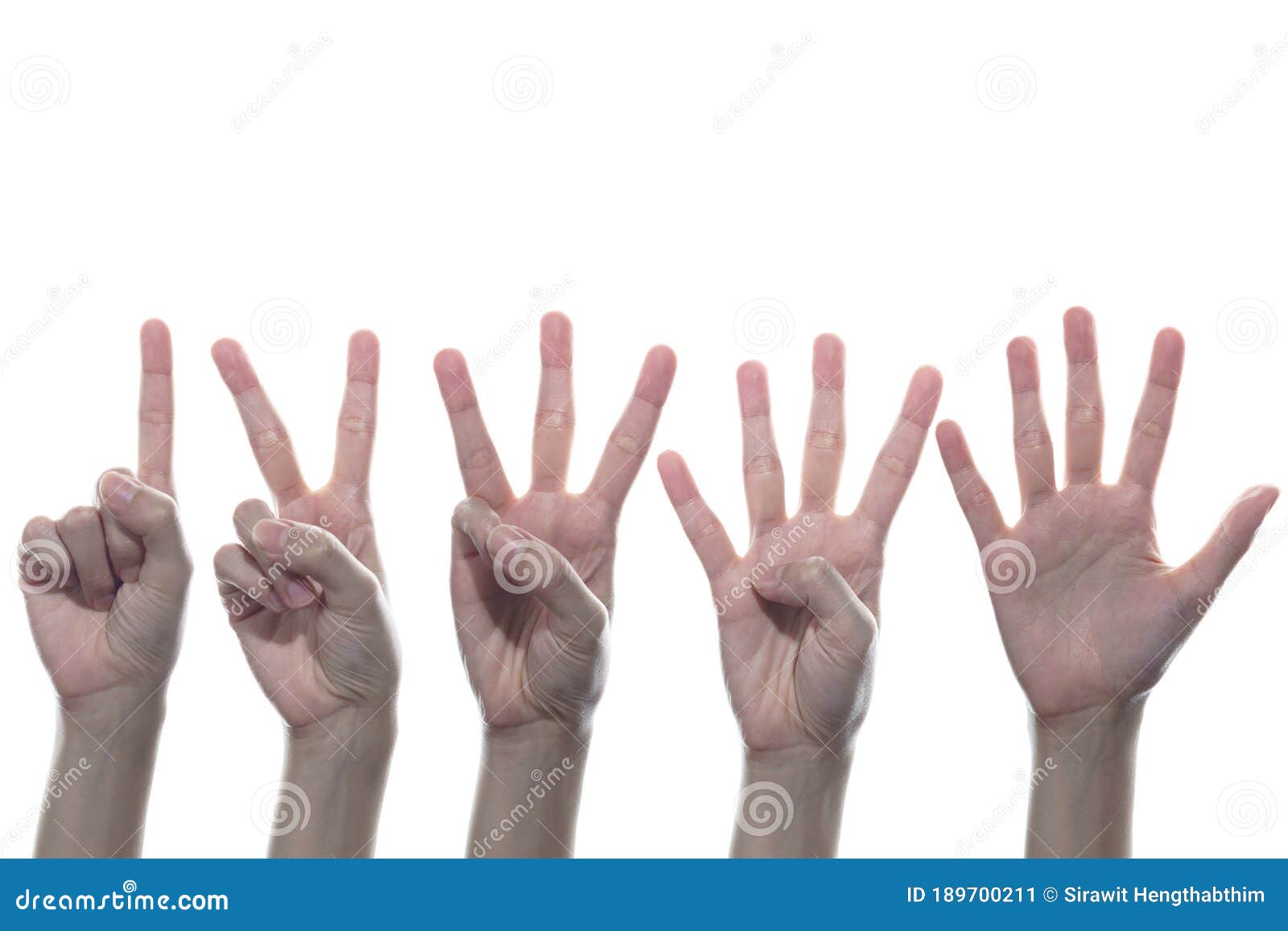 Hand Action Number 1, 2, 3, 4, 5 Set Stock Image - Image of ...