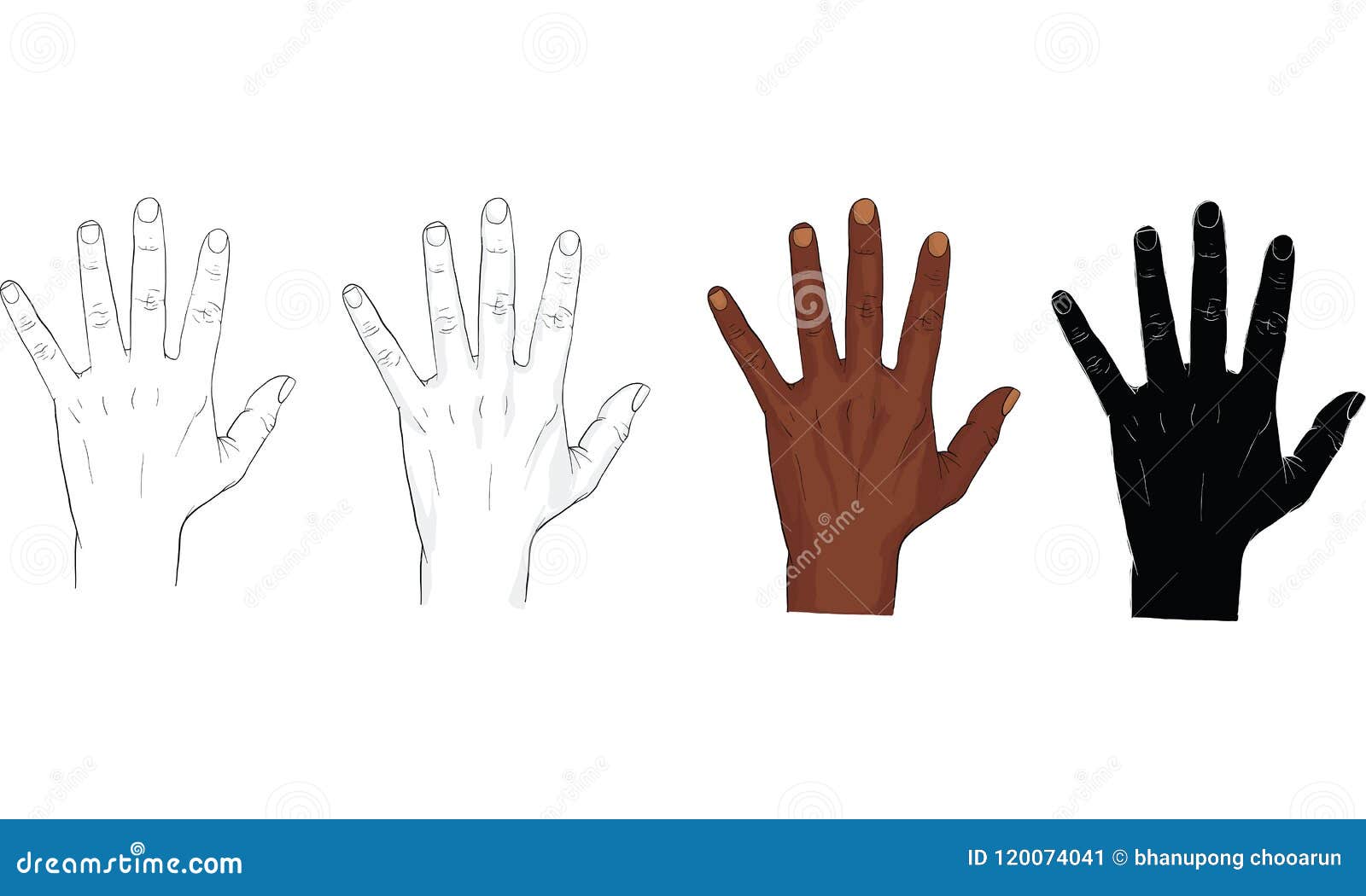 Hand Action Vector, Hand Palm Stock Vector - Illustration of female ...