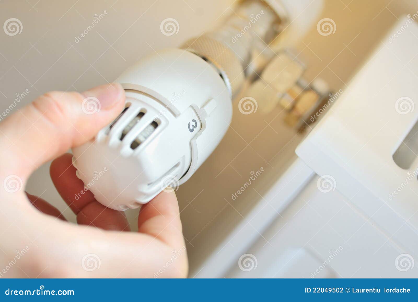 Hand Adjust Thermostat Valve Stock Photo - Image of room, radiator ...