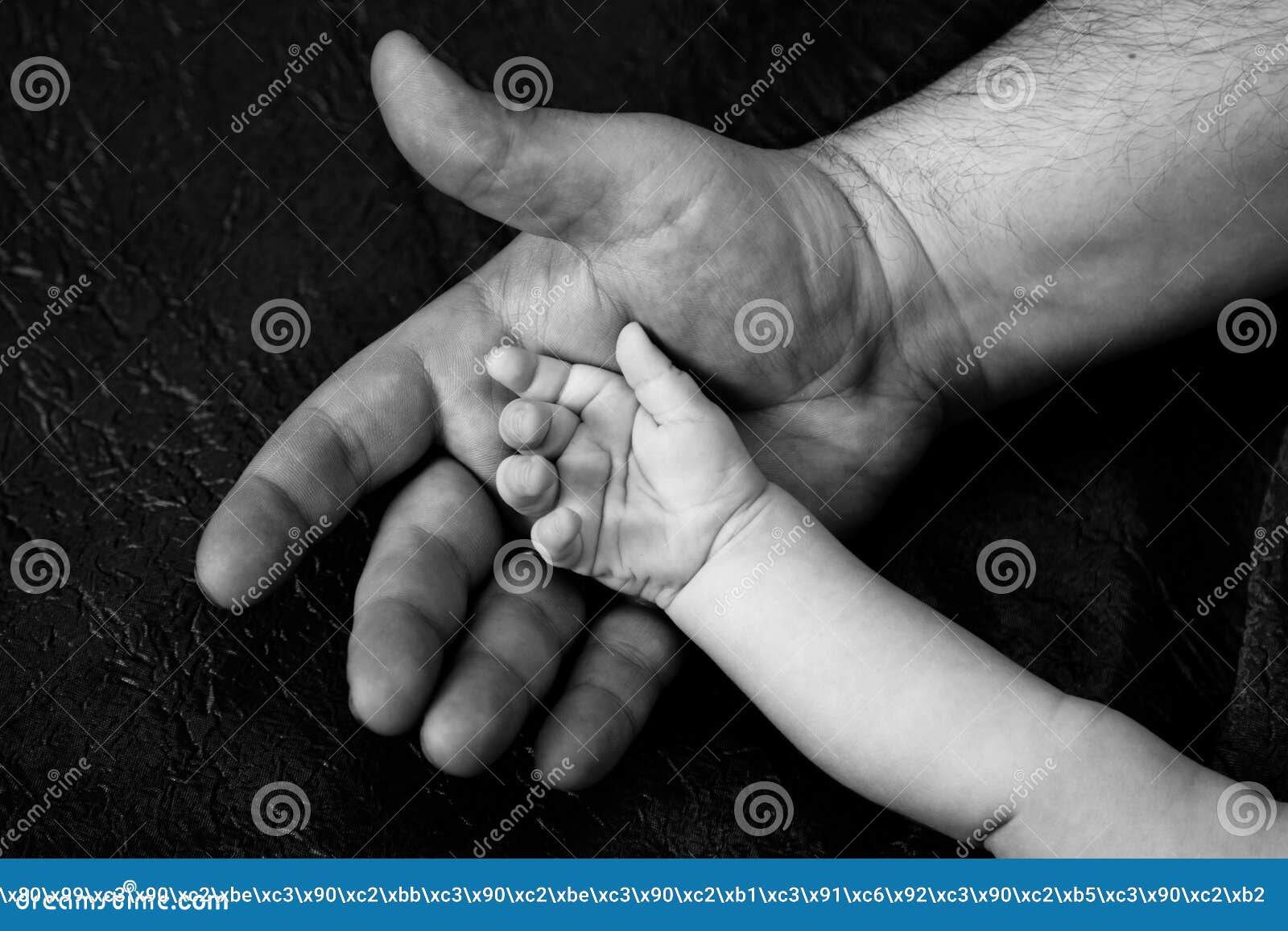 Hand of an adult and child stock image. Image of palm - 27839841