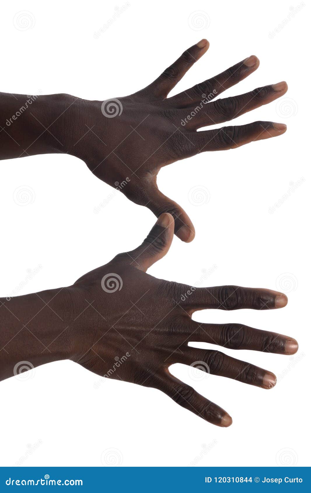 Hand of an African Man on White Stock Photo - Image of isolated, finger ...