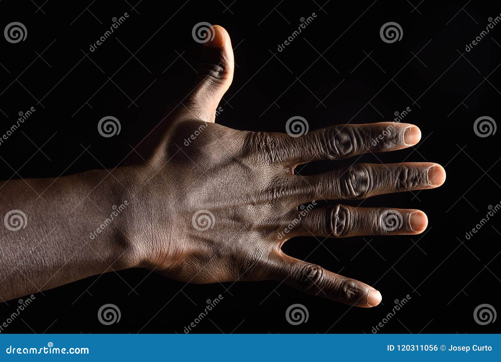 Hand of an African Man on White Stock Photo - Image of giving, african ...