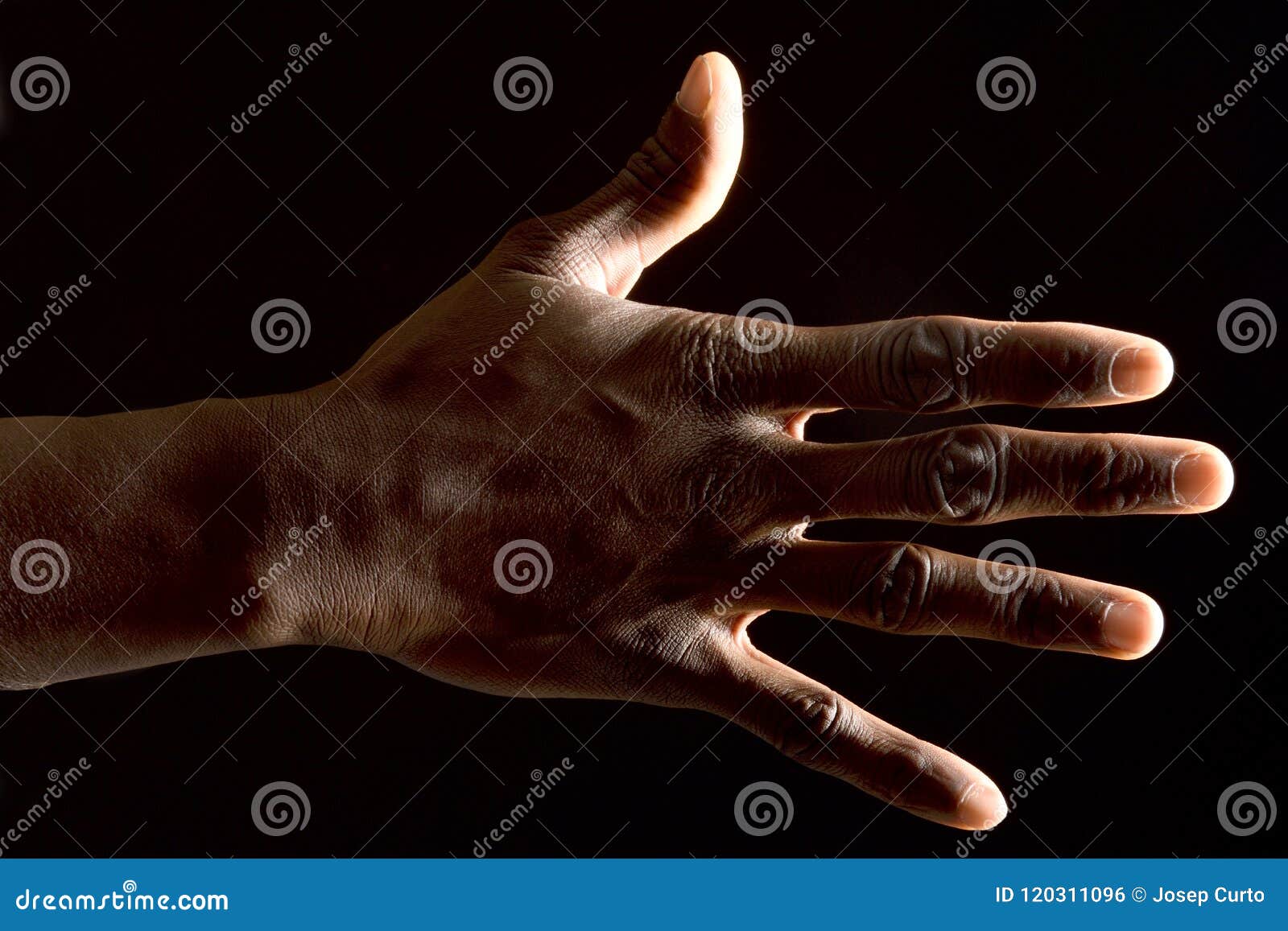 Hand of an African Man on White Stock Photo - Image of person, adult ...