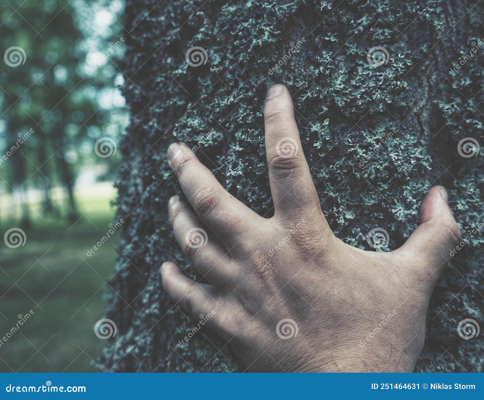 Hand Against the Bark of a Tree Stock Image - Image of hand, tree ...