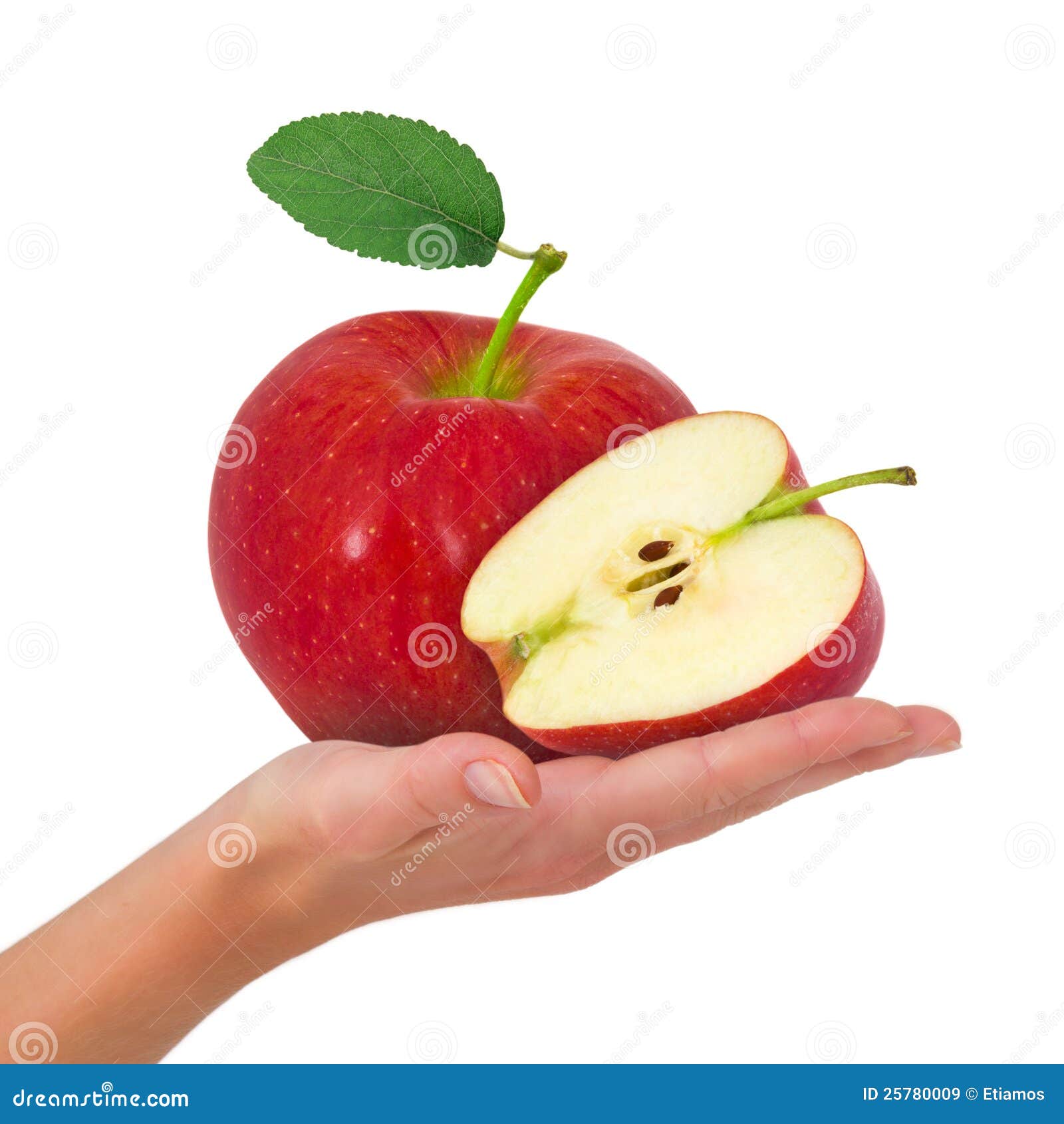 Hand with apple stock image. Image of isolated, closeup - 25780009