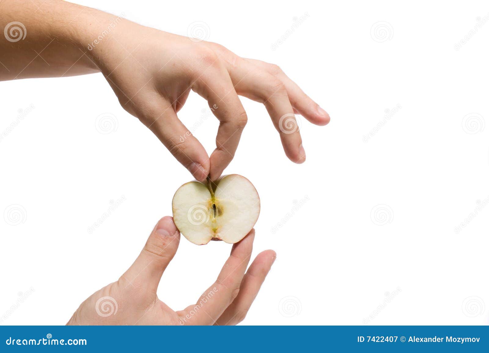 Hand and apple stock image. Image of fruit, hand, show - 7422407