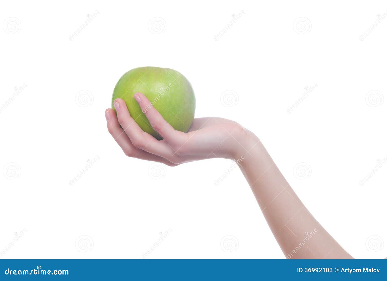 Hand with Apple Isolated on White Stock Image - Image of closeup ...
